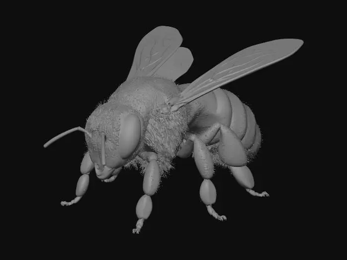 Bee 3D Models for Free Download - Meshy