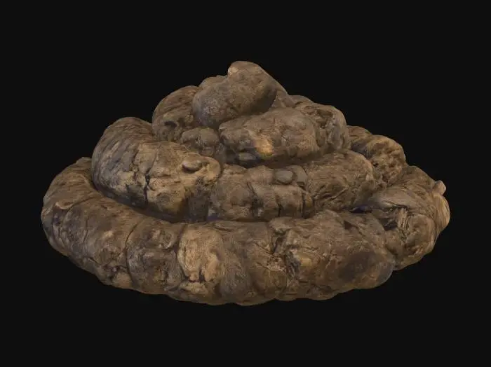Free Poop 3D Models - Download Instantly | Meshy
