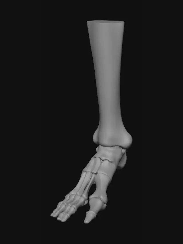 Free Foot 3D Models - Download Instantly | Meshy