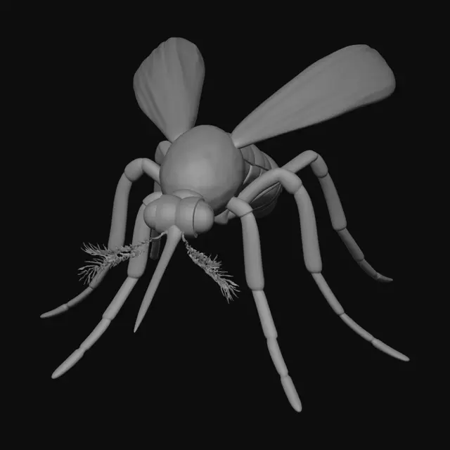 Free Mosquito 3D Models - Download Instantly | Meshy
