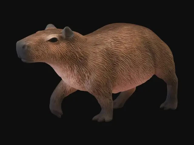 Free Capybara 3D Models - Download Instantly | Meshy