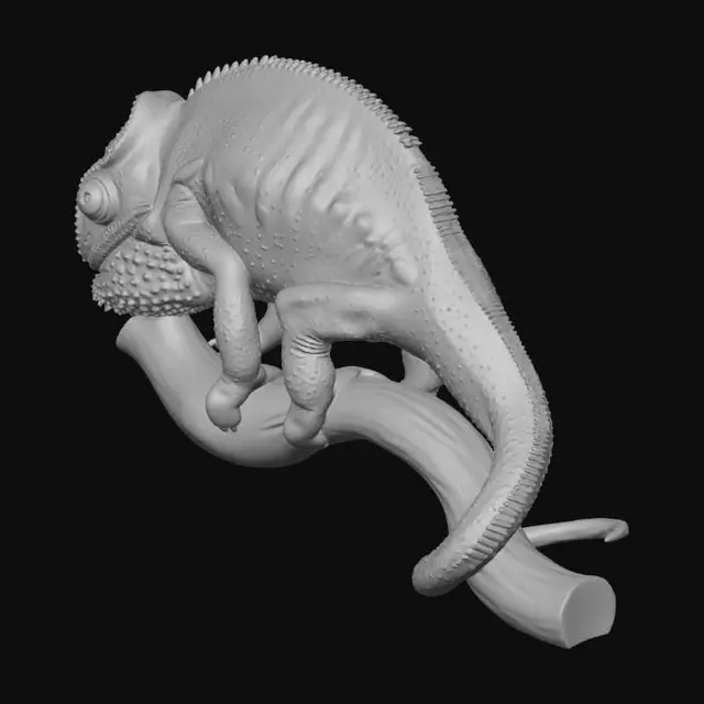 Free Chameleon 3D Models - Download Instantly | Meshy