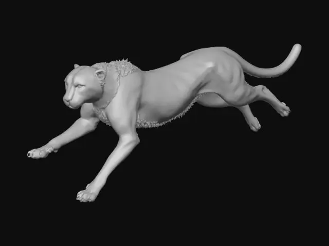 Free Cheetah 3D Models - Download Instantly | Meshy