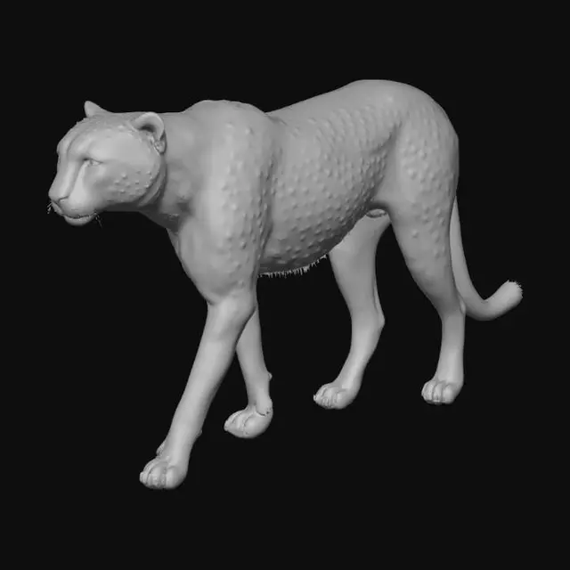 Free Cheetah 3D Models - Download Instantly | Meshy